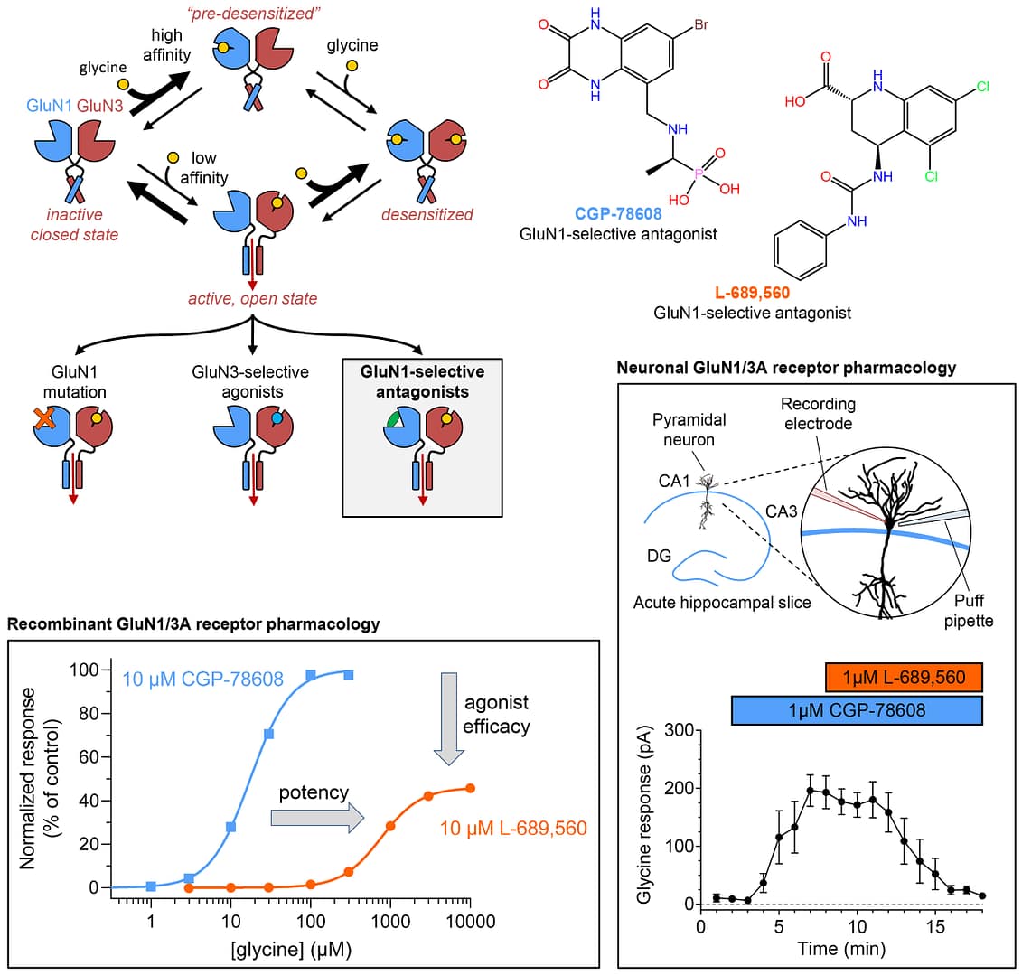 PUBLICATIONS - KASPER HANSEN LAB